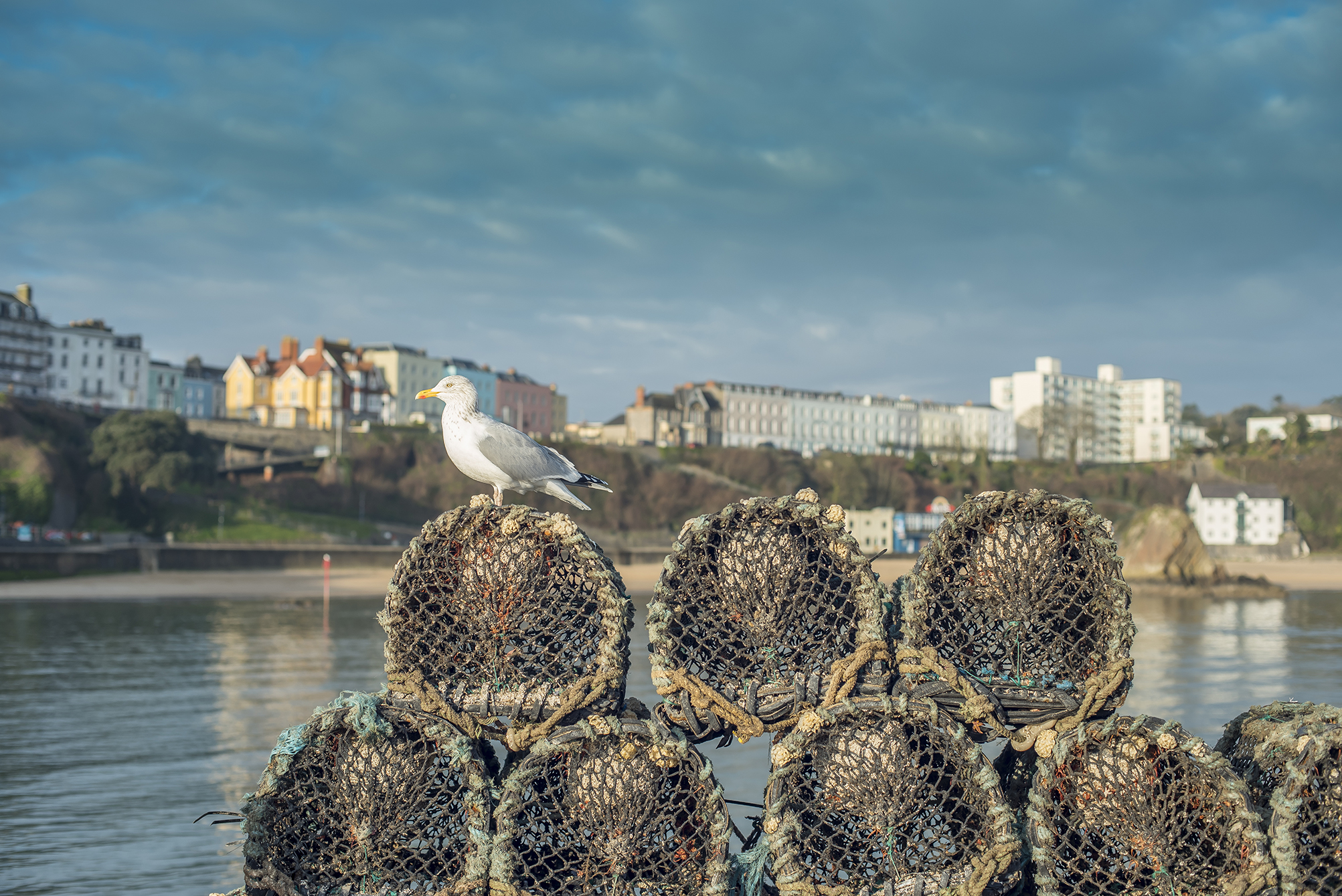 The Cabin | Holiday Apartment in Tenby | Coastal Cottages